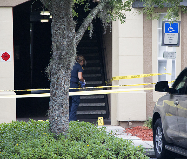 Tampa Palms Murder Neighborhood News