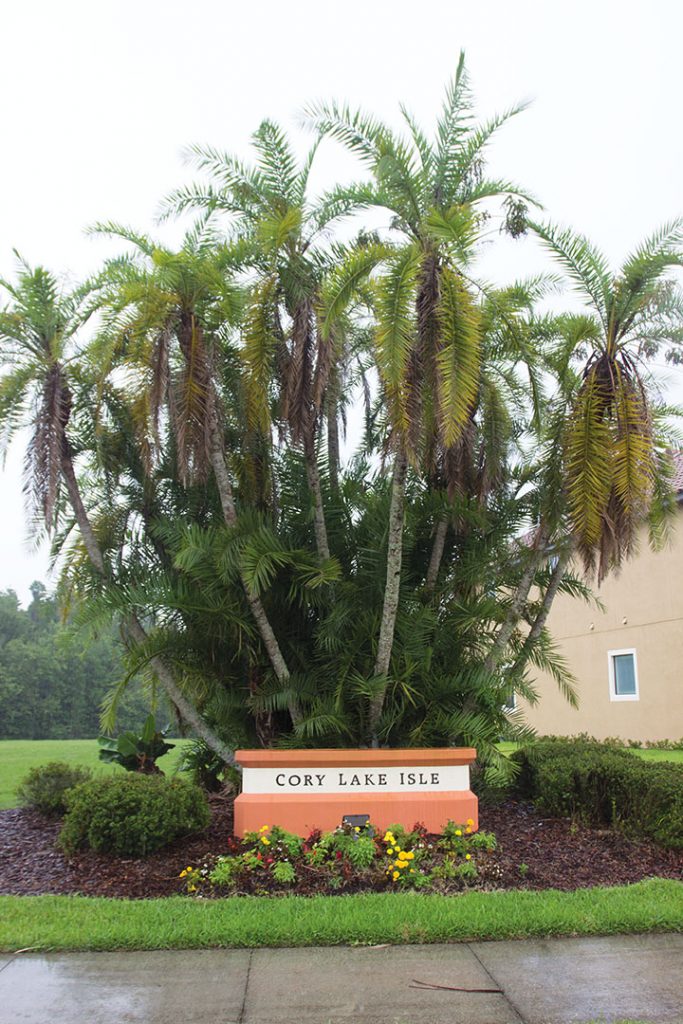 CoryLakeIsles1 — Neighborhood News