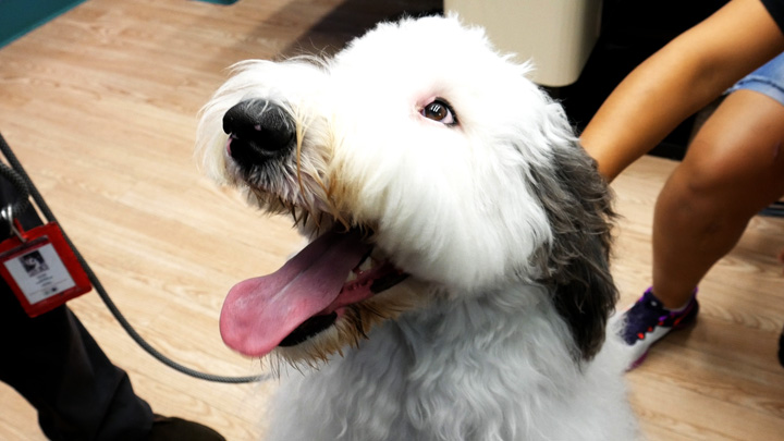 Zammy Spreads His Joy At The Shriners Hospital! — Neighborhood News