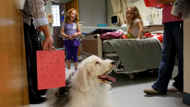 Zammy Spreads His Joy At The Shriners Hospital! — Neighborhood News