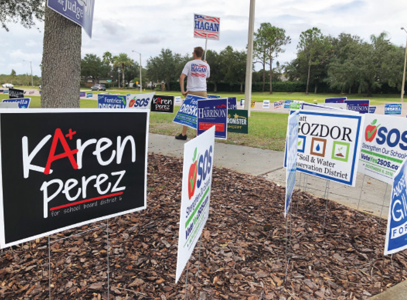 Election Signs — Neighborhood News
