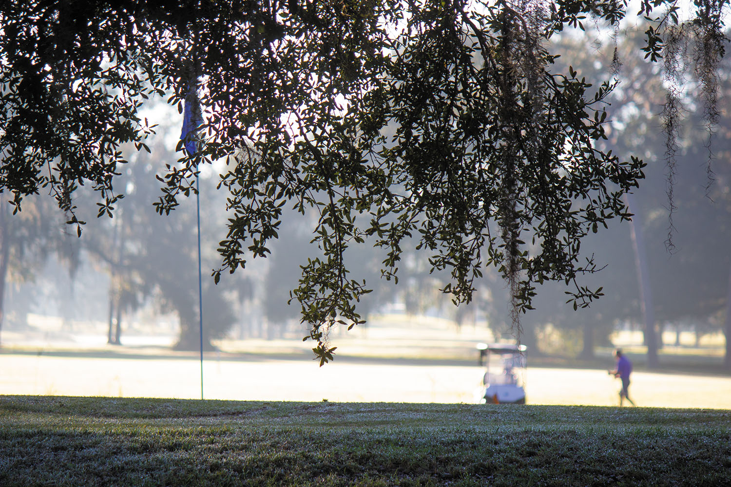 Pebble Creek - Flag Pole — Neighborhood News