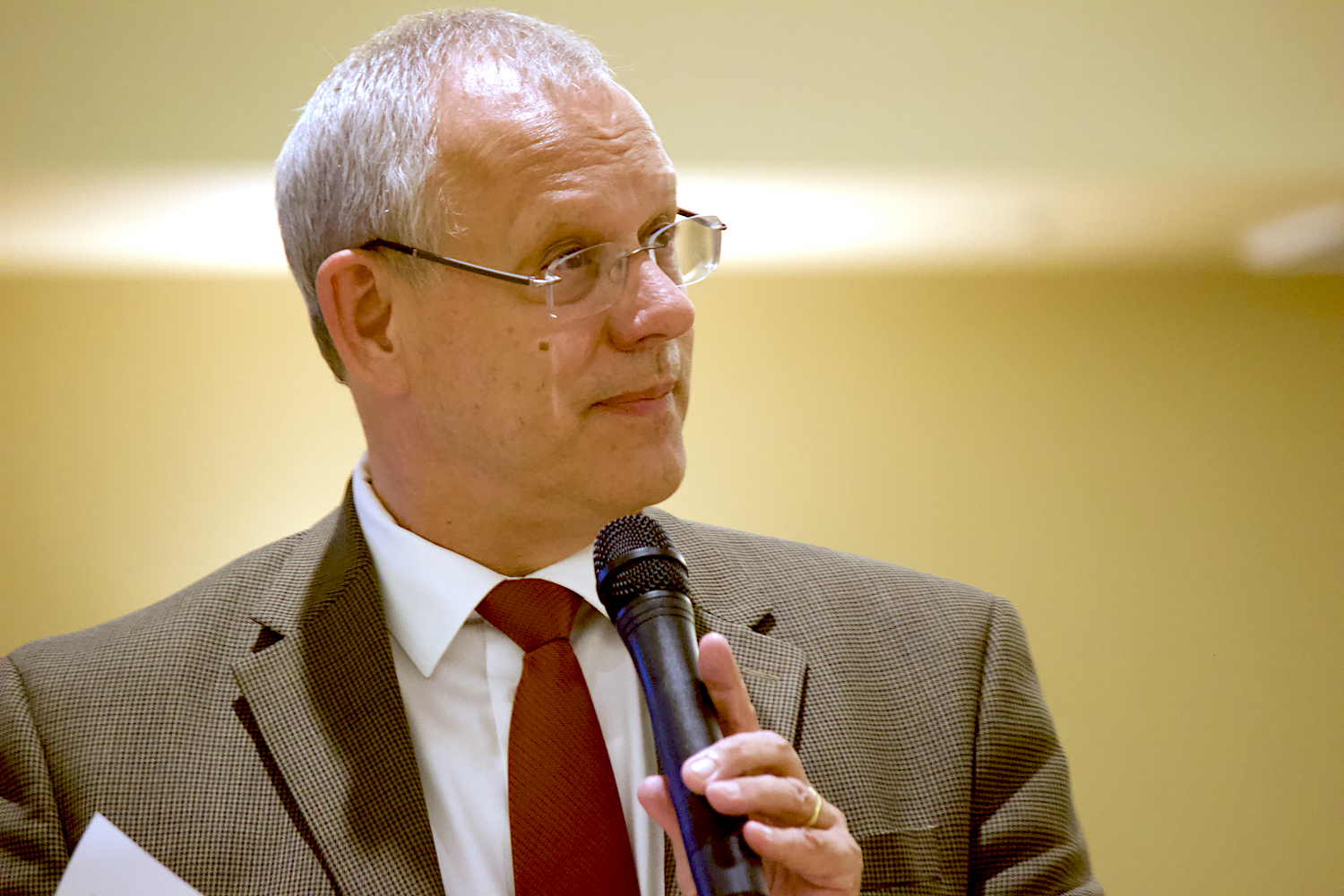 New Tampa Readies For Important Vote — Neighborhood News