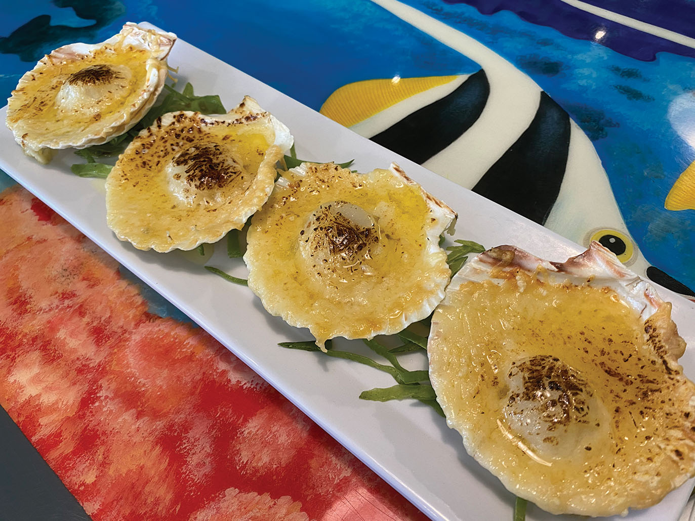 Lima Brings The ‘World’s Best Cuisine’ To New Tampa! — Neighborhood News