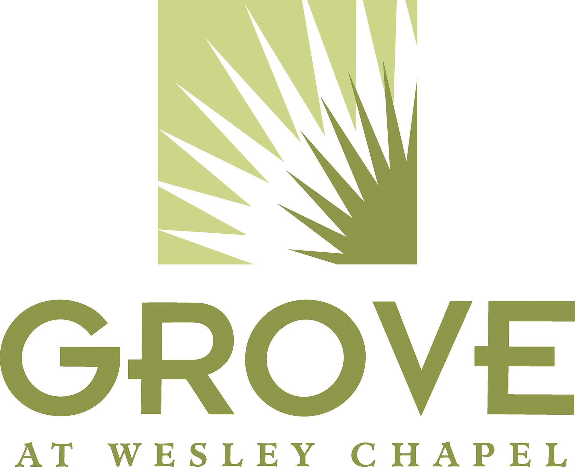 Downtown Wesley Chapel? — Neighborhood News