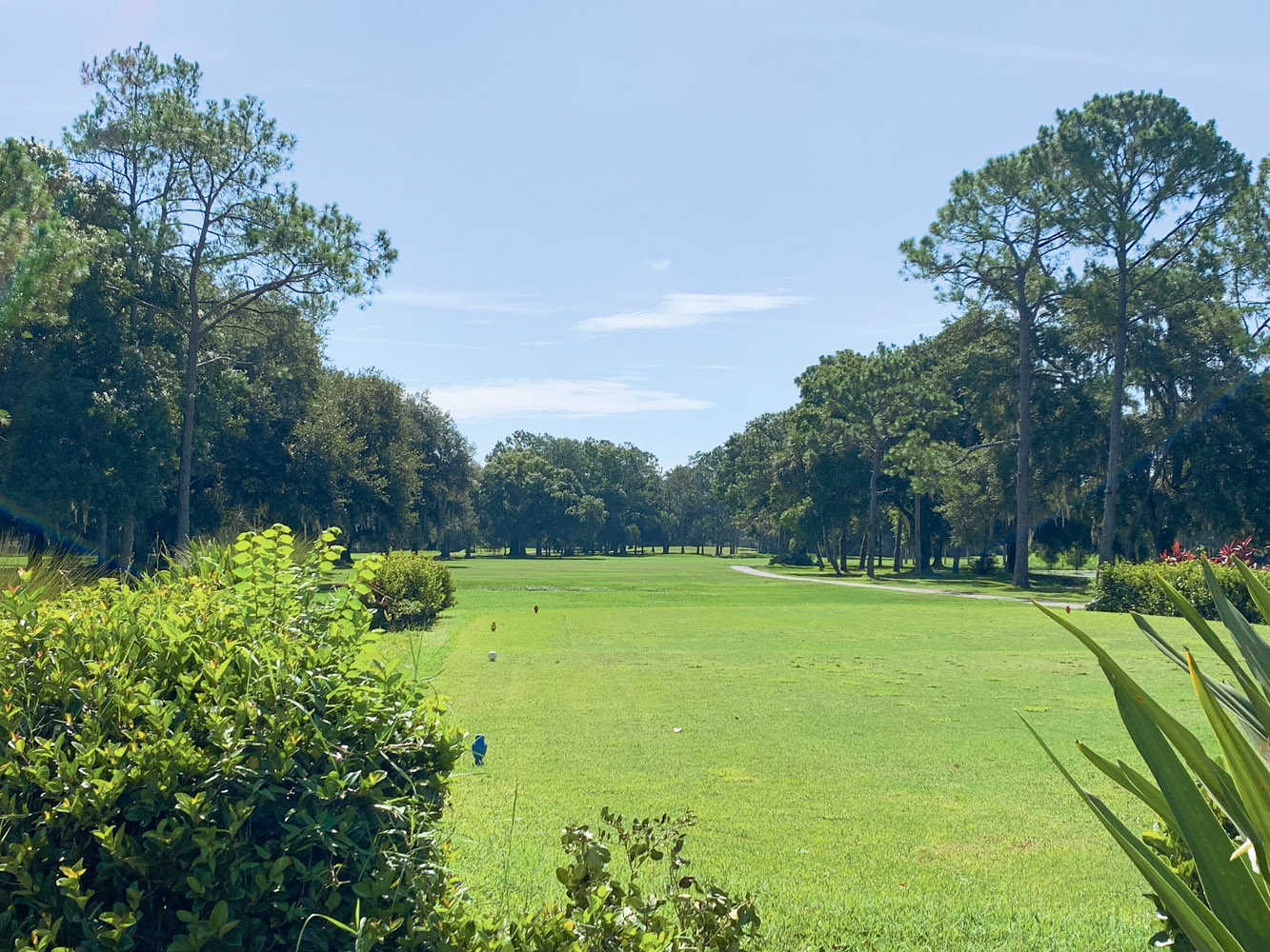 PC_Hole-1 — Neighborhood News