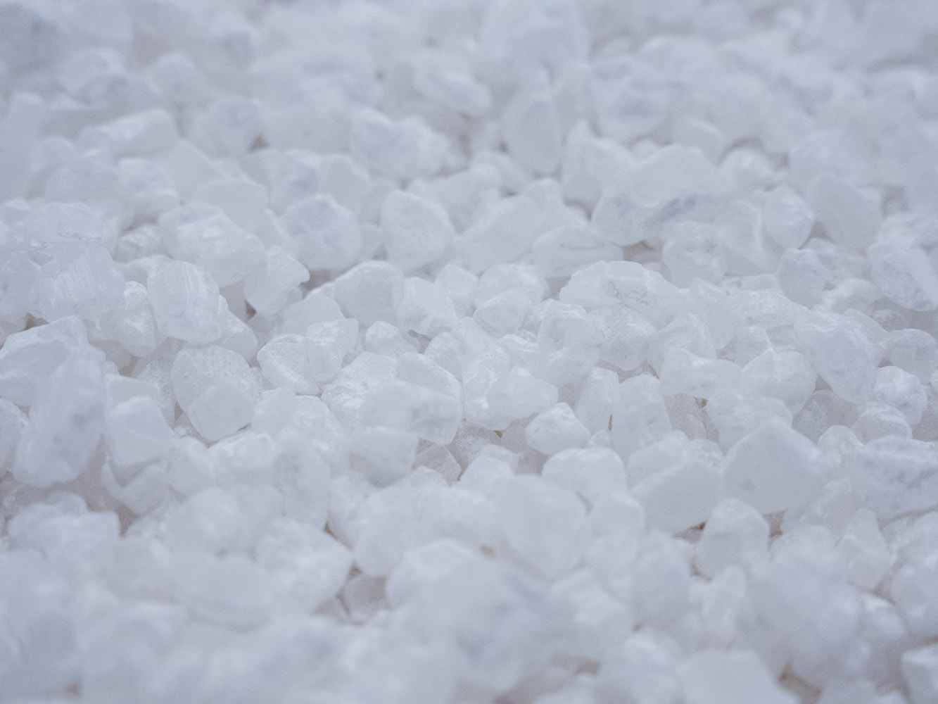 Salt-Rock-Floor — Neighborhood News