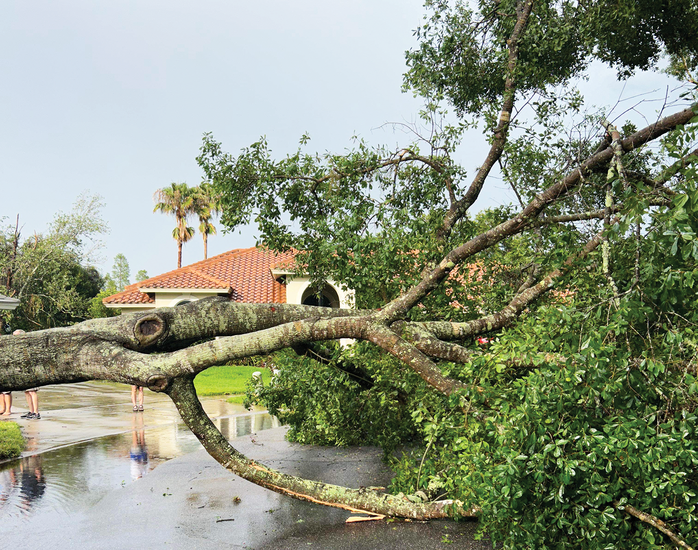 New Tampa's ‘No-Name’ Storm Opens Hurricane Season With A Bang ...