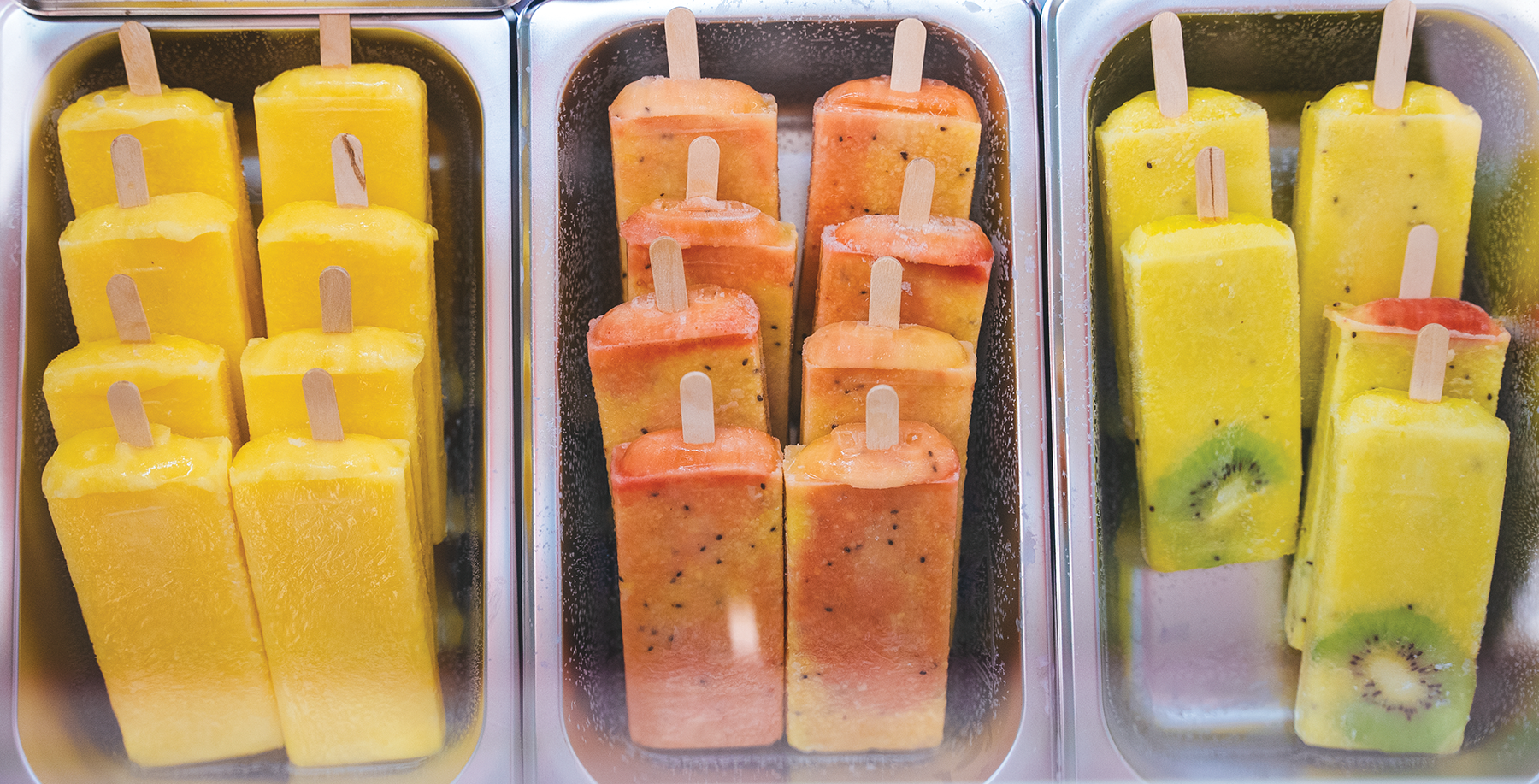 Paleta Mia For Artisan Ice Pops, Waffle Sticks, Shakes & More ...