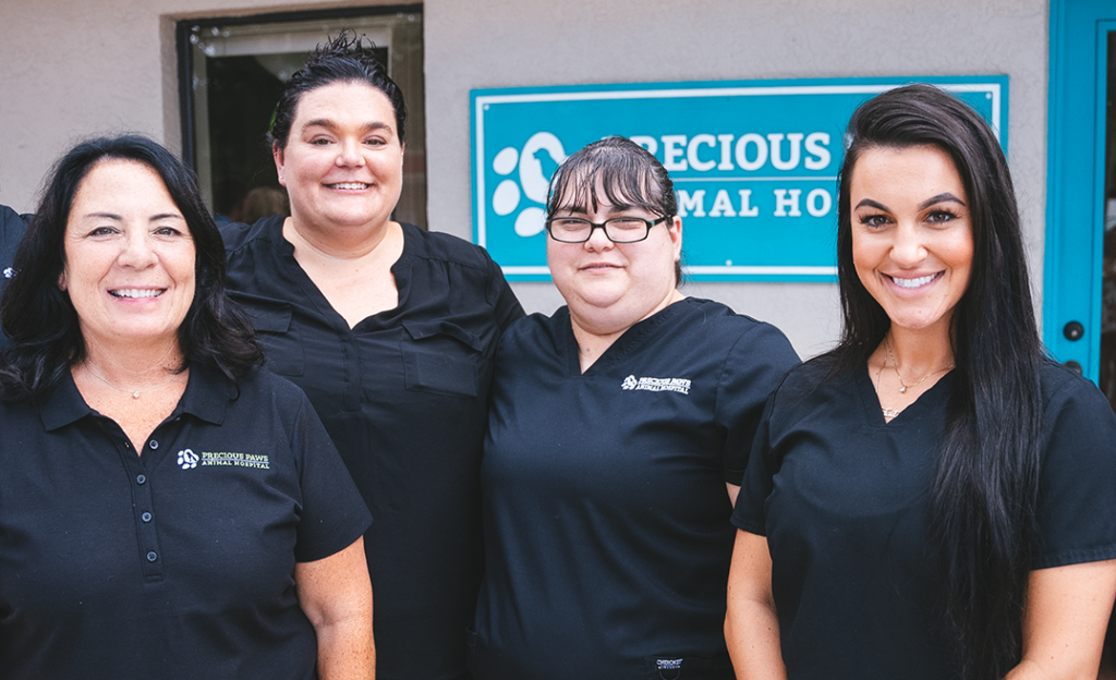 Precious Paws Animal Hospital — A Family Tradition Of Veterinary ...