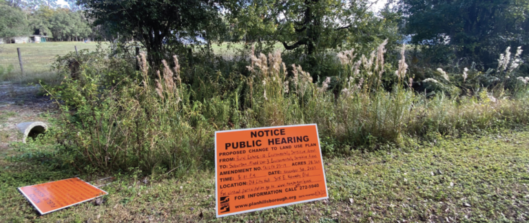 What’s Happening With Morris Bridge Rd? — Neighborhood News