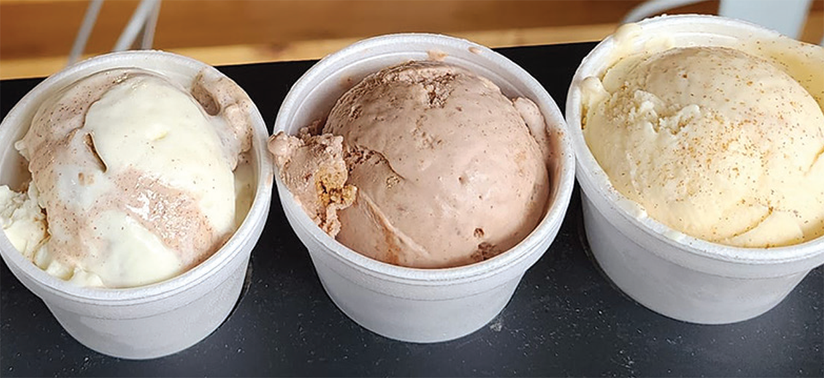 Gary’s 2023 Favorite Ice Cream Places In New Tampa & Wesley Chapel ...