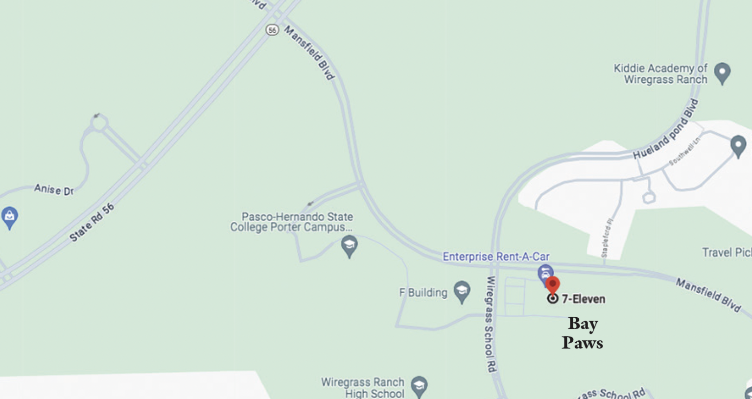 Bay Paws Pet Resort Begins Construction In Wiregrass — Neighborhood News