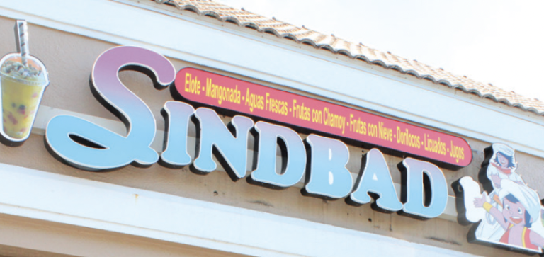 New Tampa’s Winn-Dixie To Become Another Aldi; Sindbad Gets Ready To ...