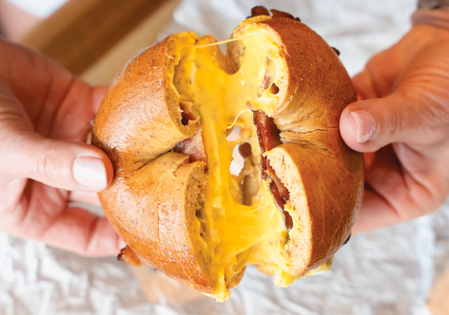New York’s Famous H&H Bagels Has Opened On S. Dale Mabry Hwy. In South ...